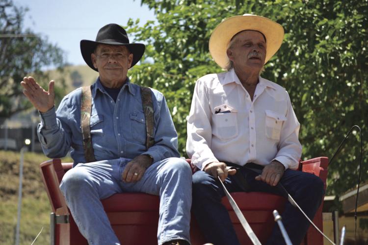 Sun, steer, and saddles: 2019 Springville Rodeo closes out on another ...