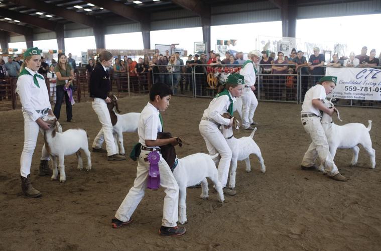 Porterville Fair: Grand champions crowned | News | recorderonline.com