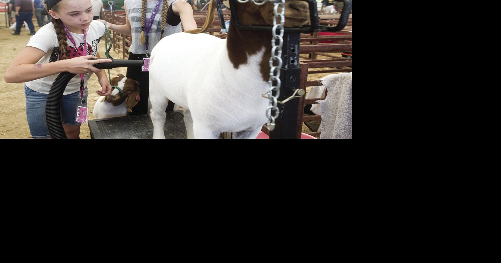 Porterville Fair: It ain’t over until it’s over | News | recorderonline.com