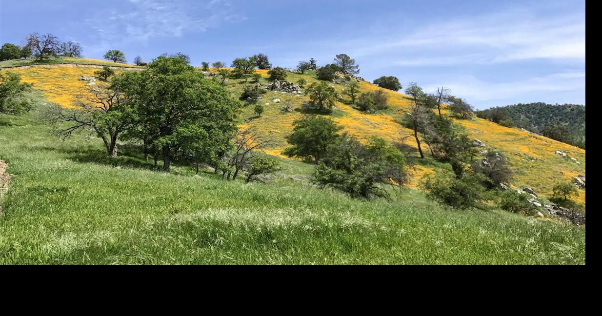 Tule River Tribe regains ancestral land after more than a century ...