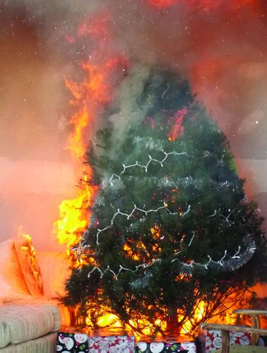 Christmas Tree Fire Danger | News | recorderonline.com