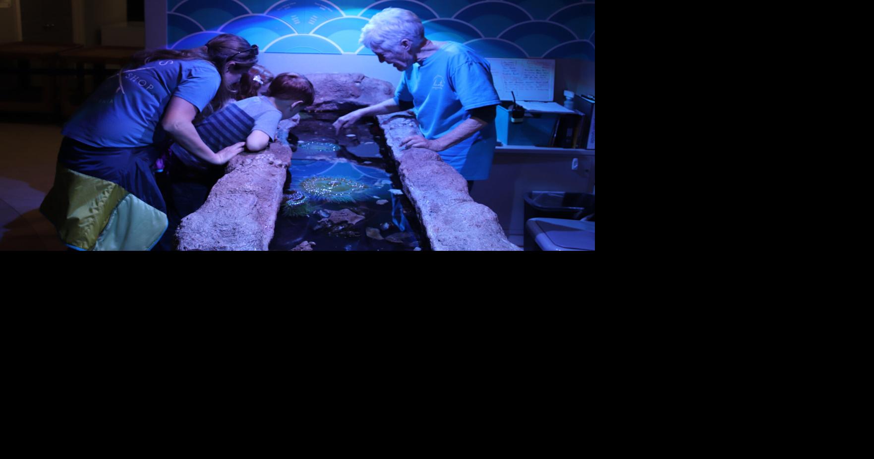 Stay 'CALM:' museum offers native plants, animals | Photos ...