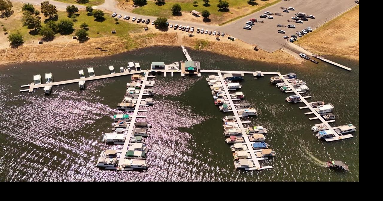 Daunt To Dillonwood: Success Lake Marina | Photos | recorderonline.com