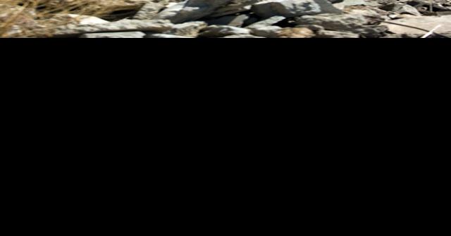 Water still coursing down the Tule River | News | recorderonline.com