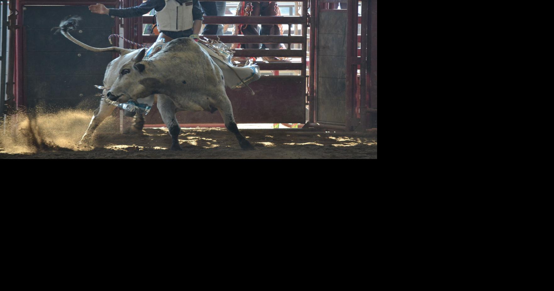 Bullish on rodeo: Porterville could again host event | News ...
