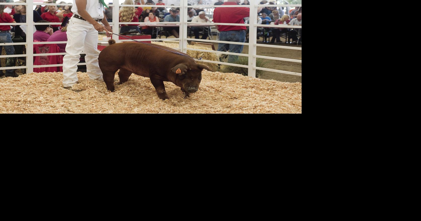 2018 Porterville Fair | News | recorderonline.com