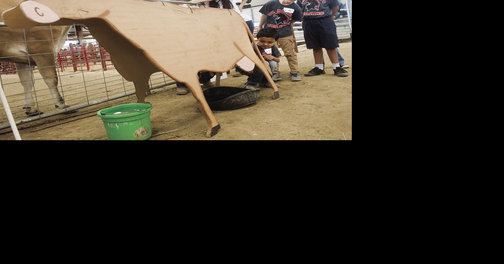 Porterville Fair: Farm Day at the fair | News | recorderonline.com