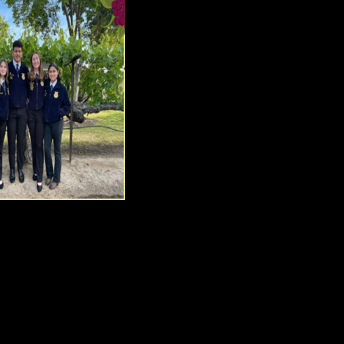 Monache FFA wins State Championship in grapevine judging | Photos ...