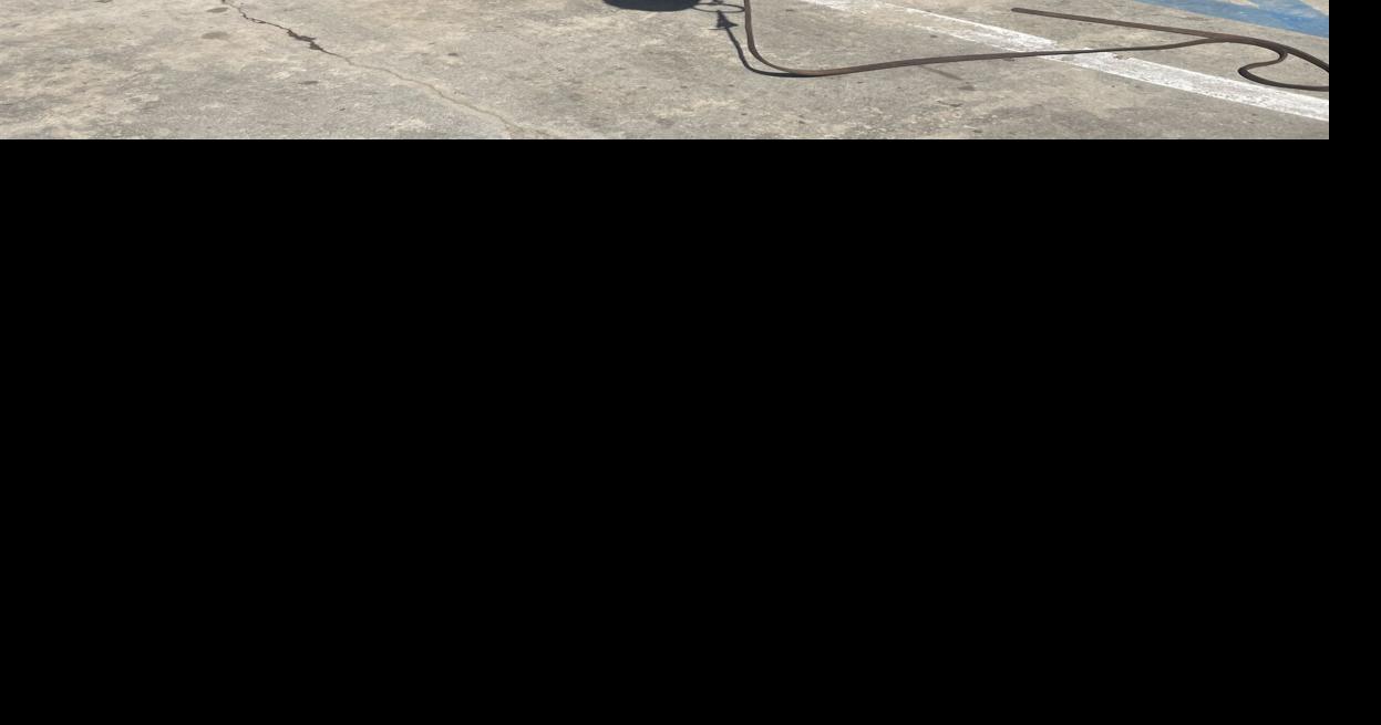 Bullish on Springville: Whistle Nut, Ole return for rodeo | Photos ...