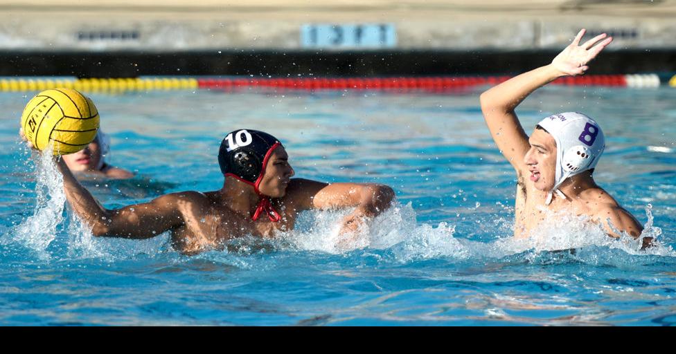 Water Polo: Grizzlies split matchup against Hawks | Sports ...
