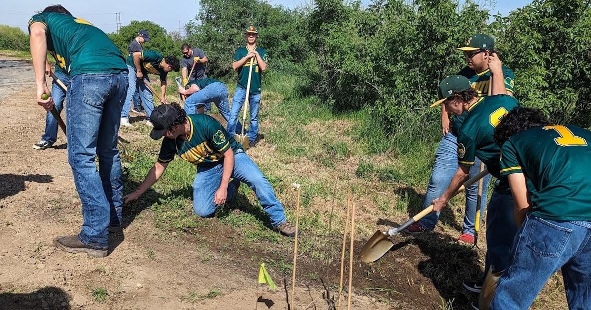 Tree planting for California Arbor Week | Photos | recorderonline.com