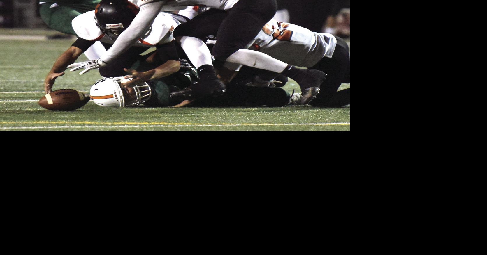 Div. IV Playoffs: Tigers upset Panthers | Sports | recorderonline.com