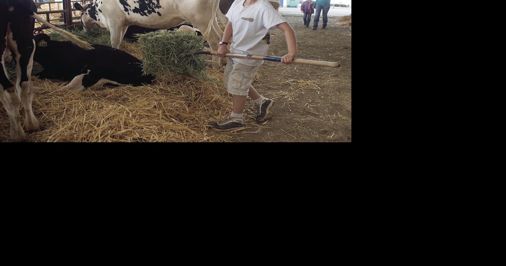 Porterville Fair begins 5-day run | News | recorderonline.com