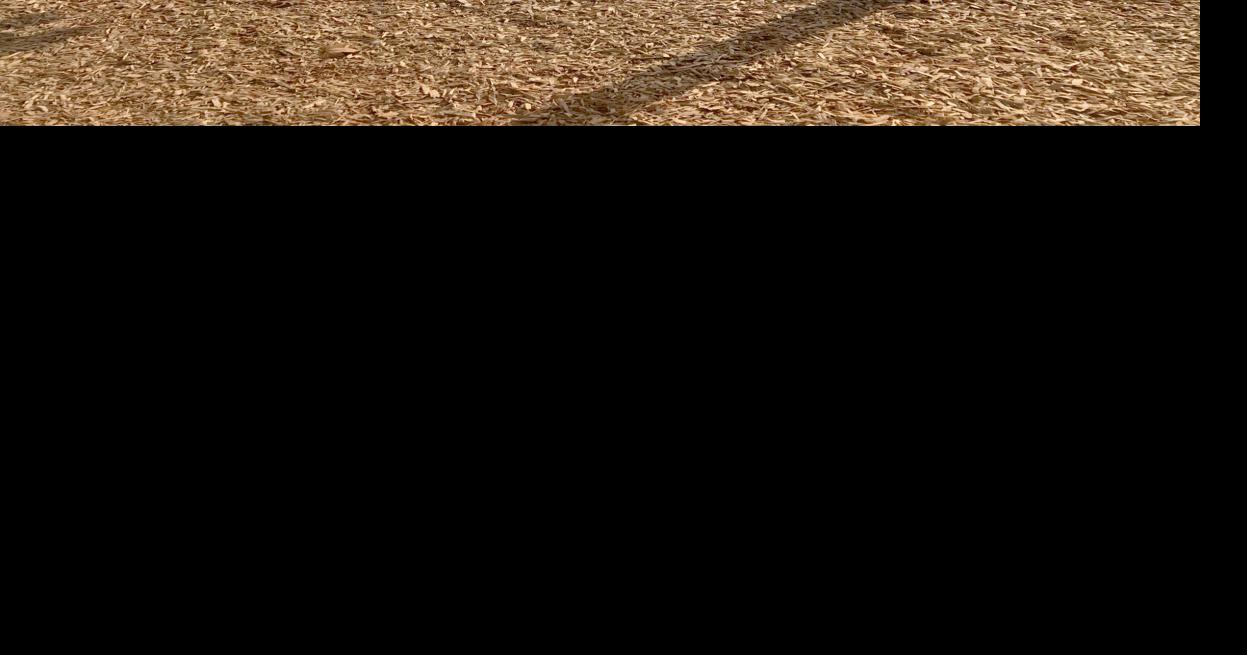 City zips into more features at Zalud, Murry Parks: Zipline at Zalud ...