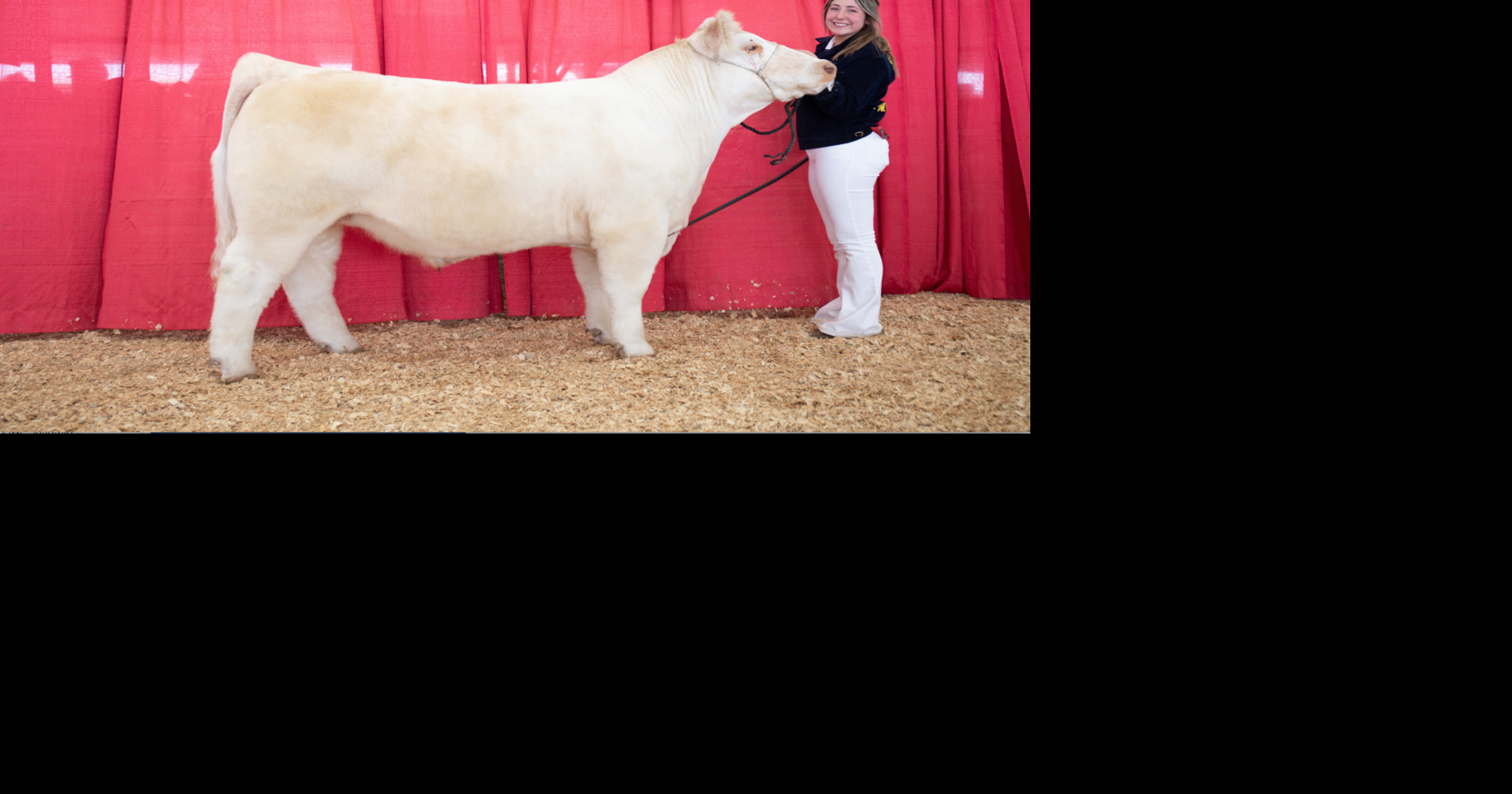 Grand Champion Beef at Porterville Fair | Photos | recorderonline.com