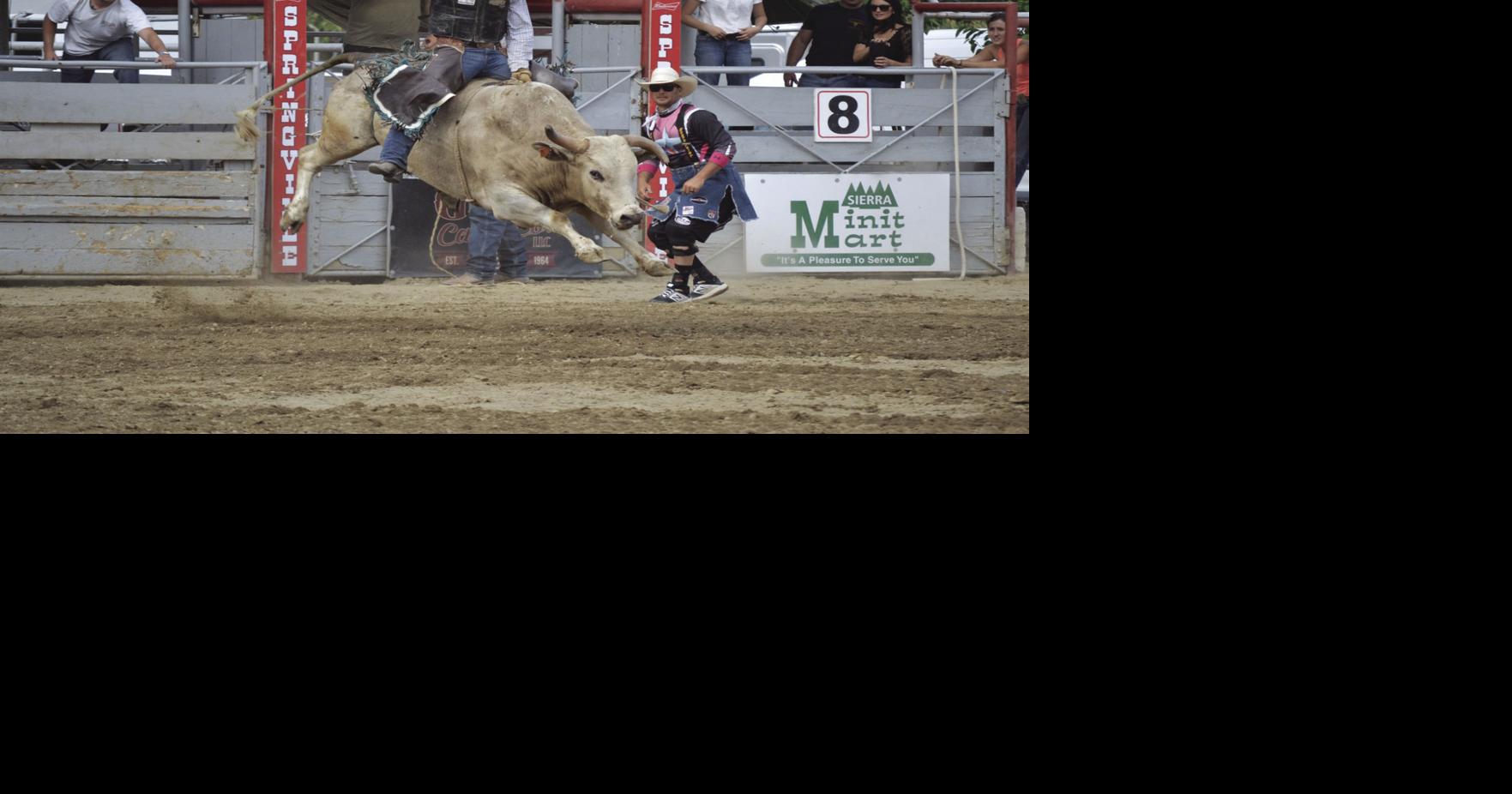 Sun, steer, and saddles: 2019 Springville Rodeo closes out on another ...