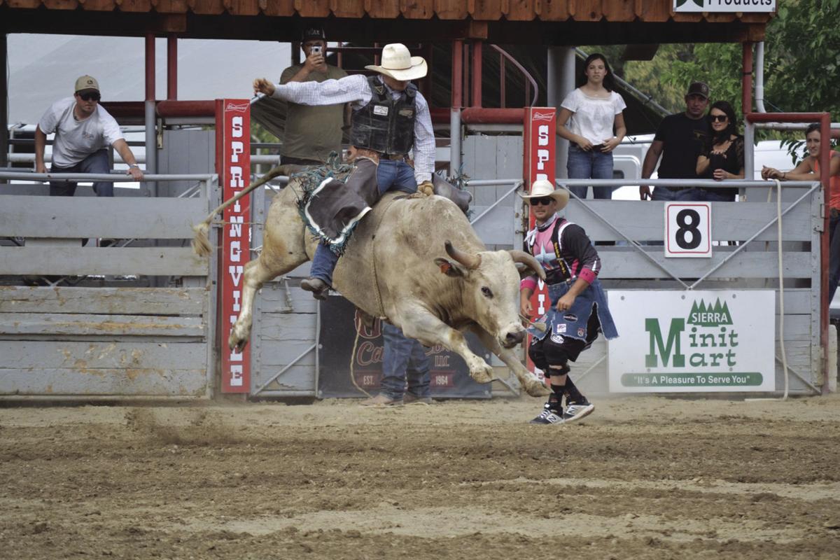 Sun, steer, and saddles: 2019 Springville Rodeo closes out on another ...