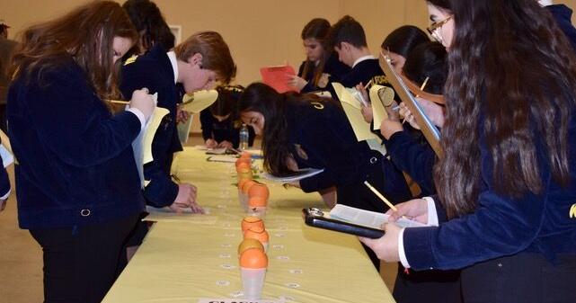 How Sweet It Is: Largest Citrus Judging event ever | Photos ...