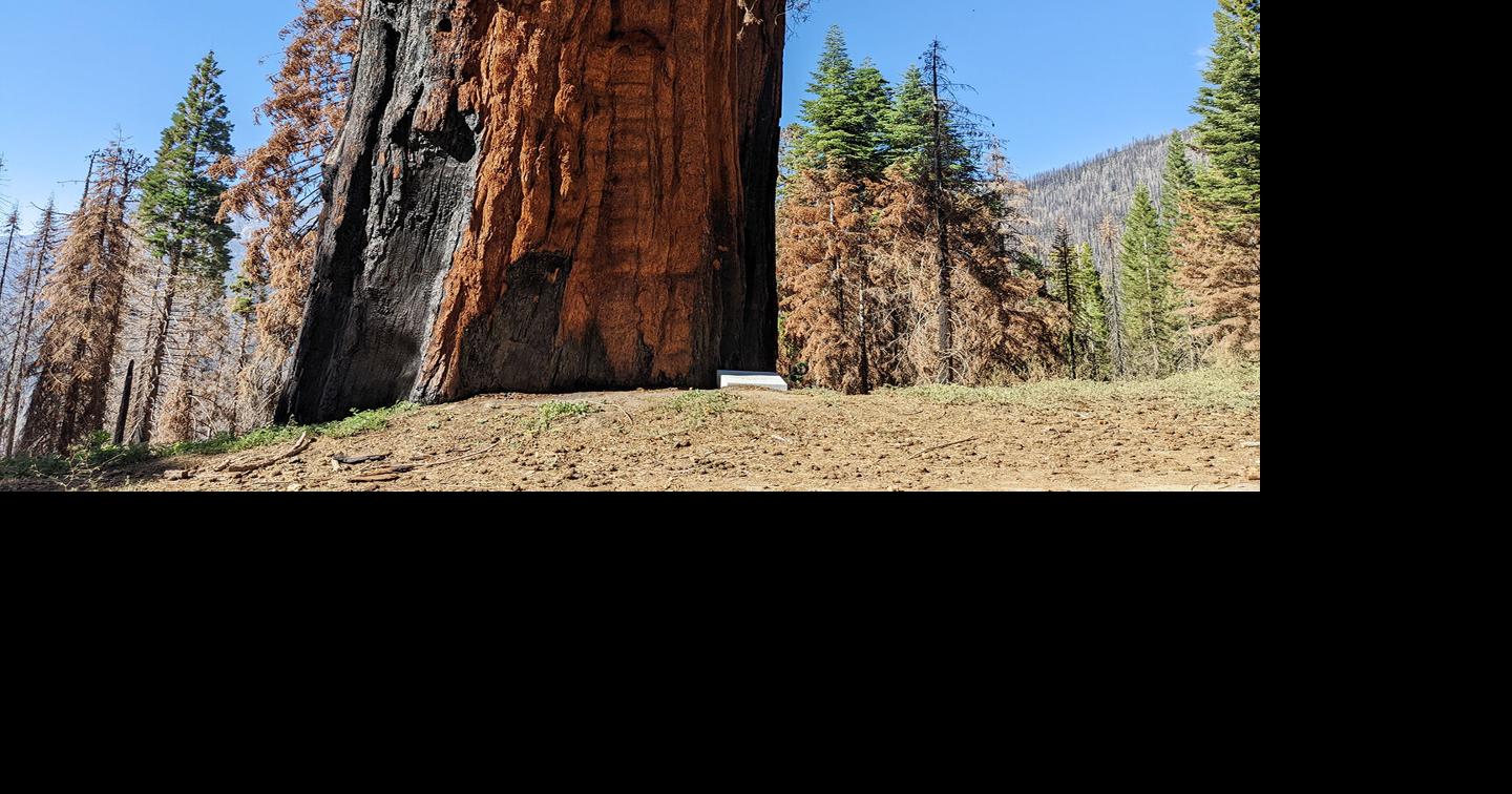 Sequoia Crest resident reflects on Castle Fire of 2020 and changes since then | Photos ...