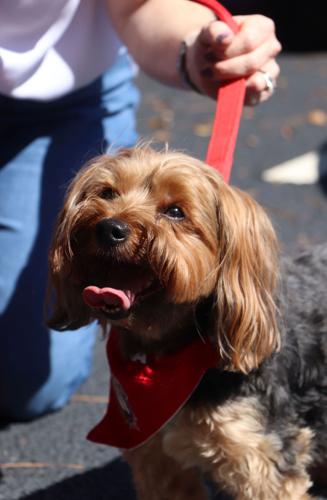 231007_jcm_Cars_Coffee_0063.jpeg | | redandblack.com