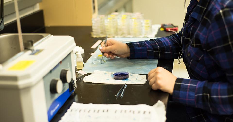 UGA expands Georgia’s STEM program following federal grant increase ...