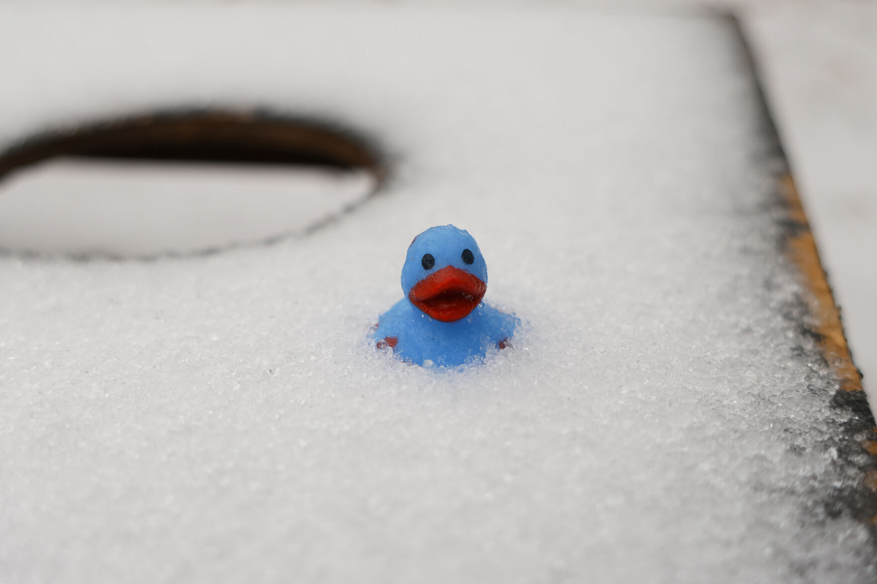 WEEK IN PHOTOS: Snow Day, Classic City Marathon, MLK Parade and more ...