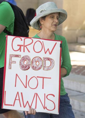 GMO PROTEST AT THE ARCH | Rbtv | redandblack.com