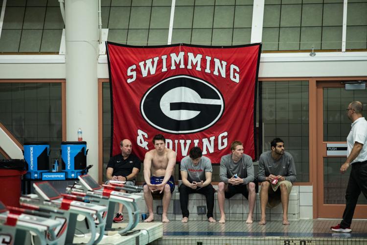 PHOTOS: UGA men's swimming and diving defeat Harvard | Multimedia ...