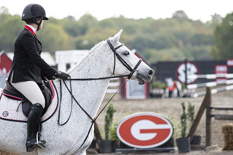 3 Georgia equestrian seniors build team culture through setting goals ...