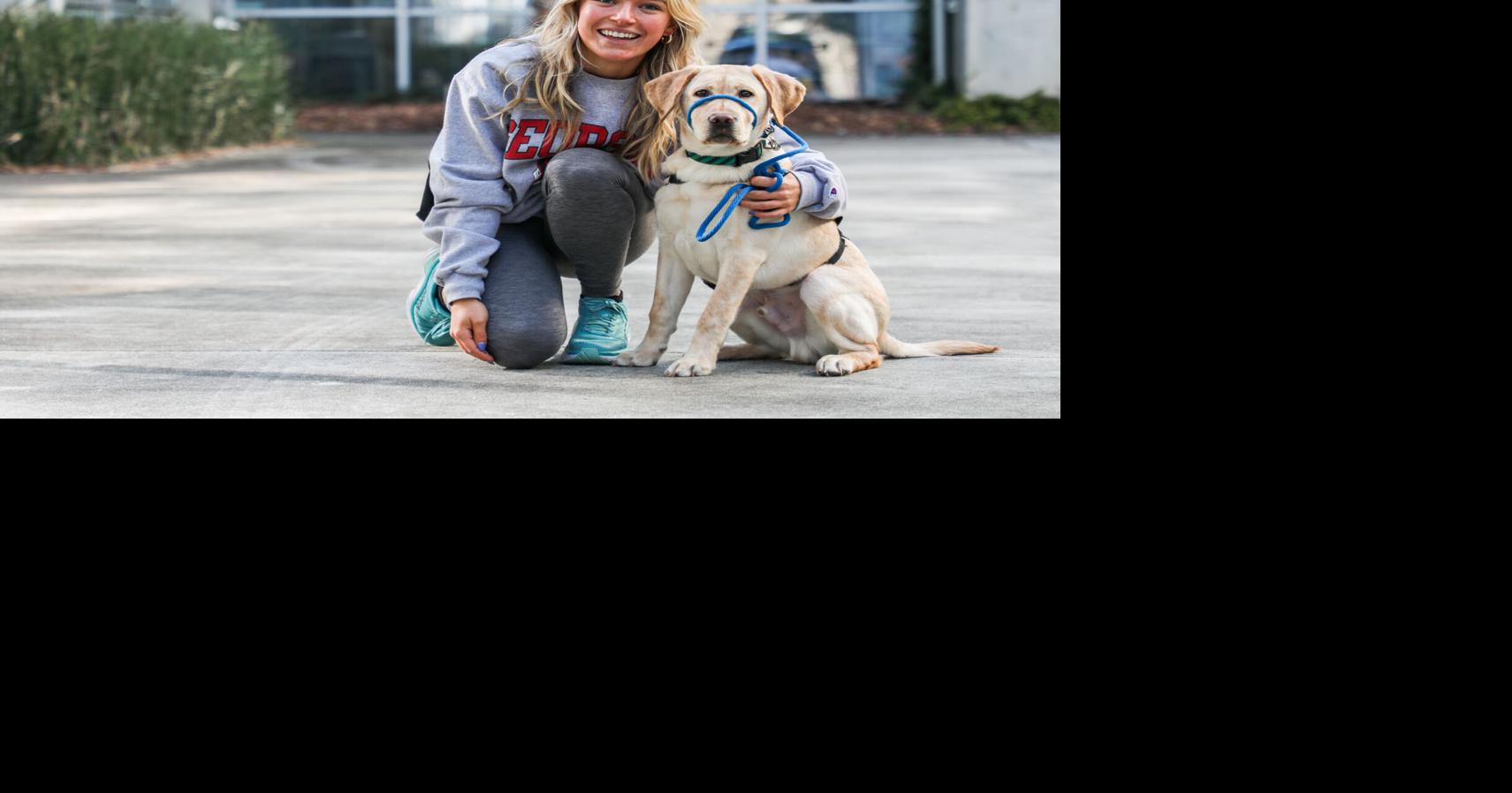 UGA students train guide dogs on campus | Arts & Culture | redandblack.com