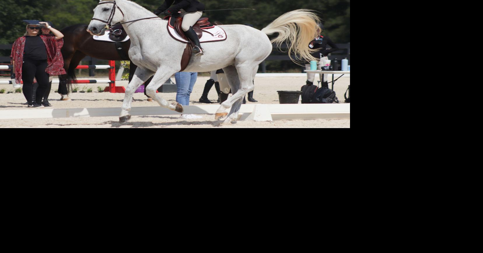 Georgia equestrian begins season with intrasquad scrimmage | Georgia ...