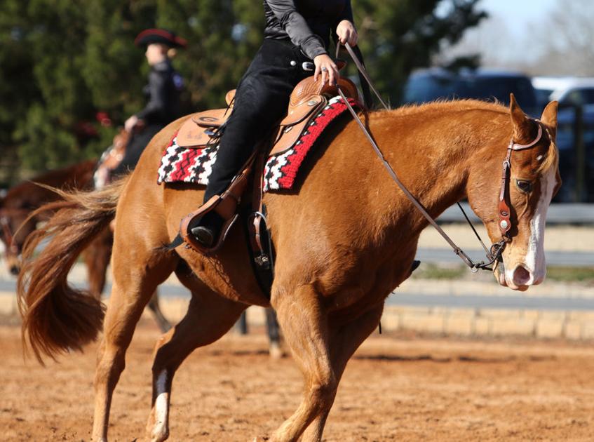 Georgia equestrian defeated by Auburn in NCEA national championship ...
