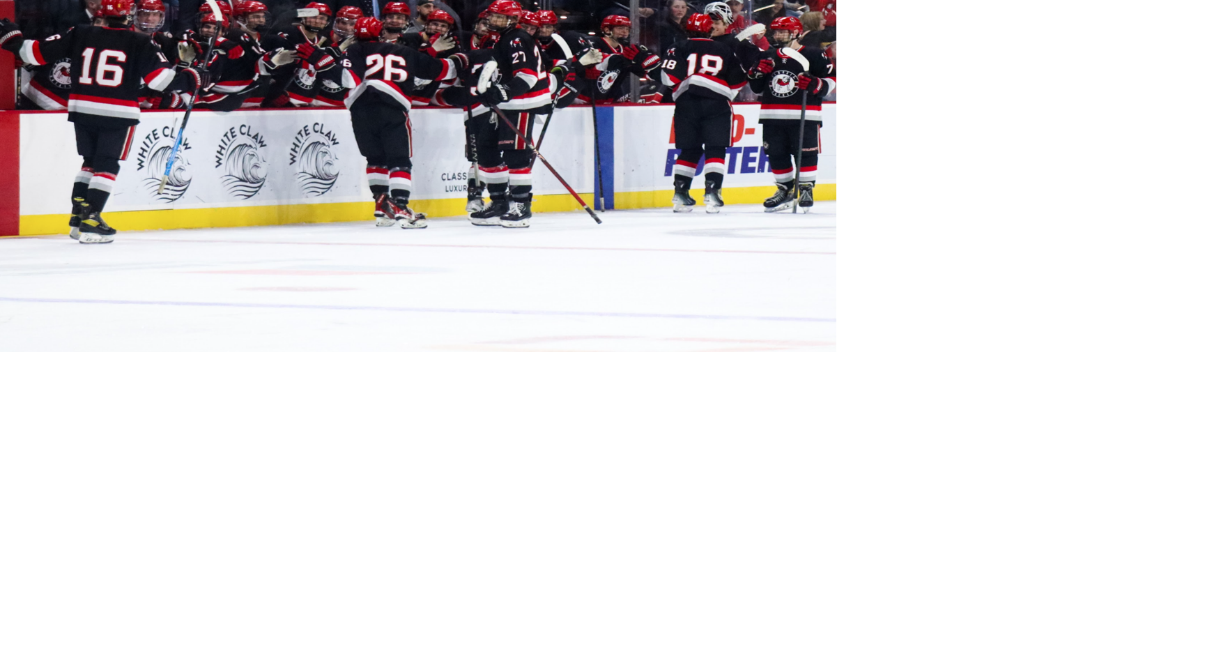 Georgia Ice Dawgs dominate at home, sweep South Carolina in series ...