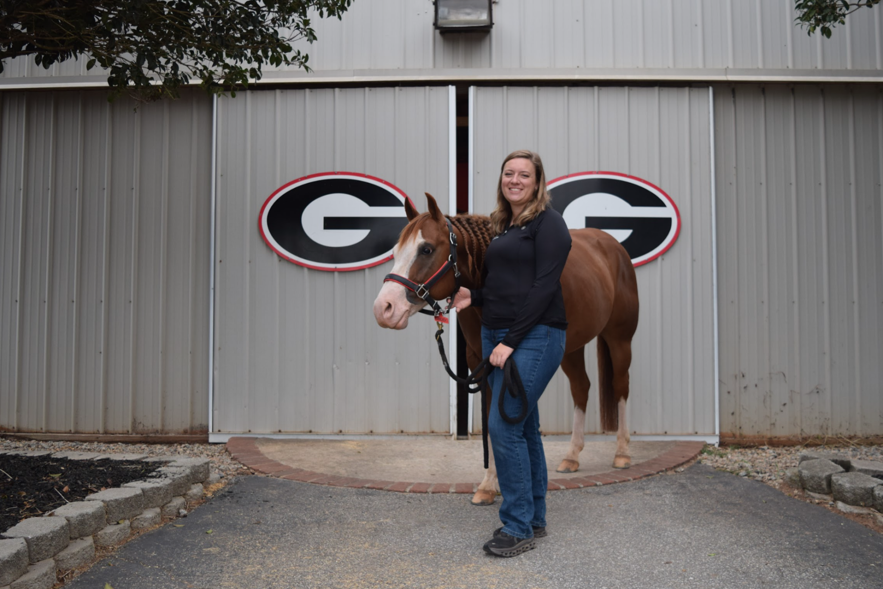 Behind the reins of champions: The University of Georgia equestrian ...
