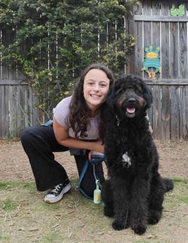 Damn good dogs: Meet the canines of the Classic City | Arts & Culture ...