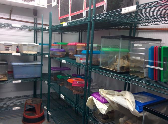 UGA Insect Zoo | | redandblack.com