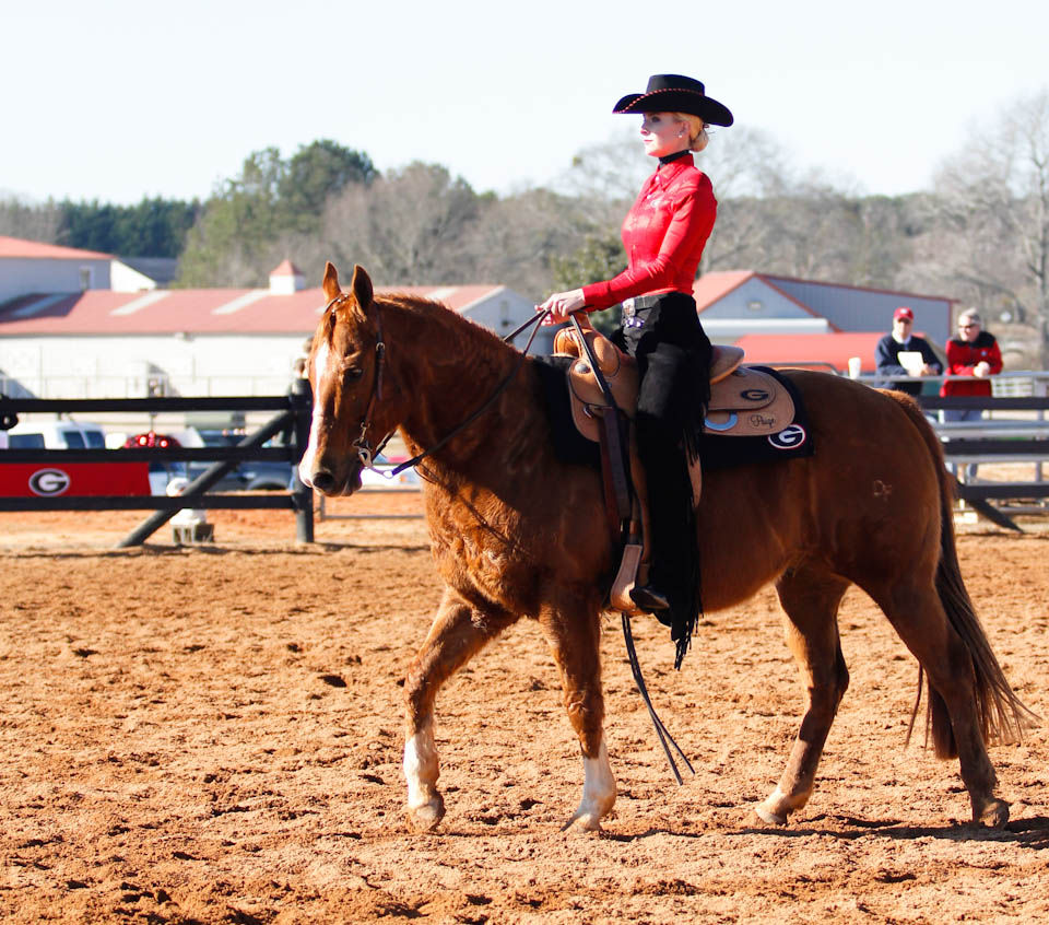 Georgia vs. Delaware State Equestrian Competition | | redandblack.com
