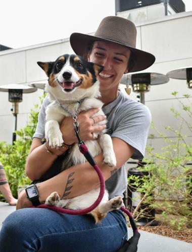 Damn good dogs: Meet the canines of the Classic City | Arts & Culture ...