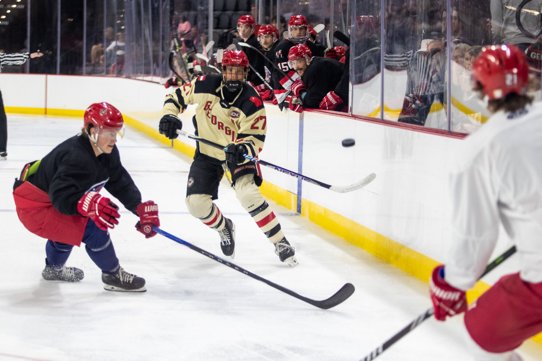 PHOTOS: Ice Dawgs and Rock Lobsters Mixed Scrimmage | Multimedia ...
