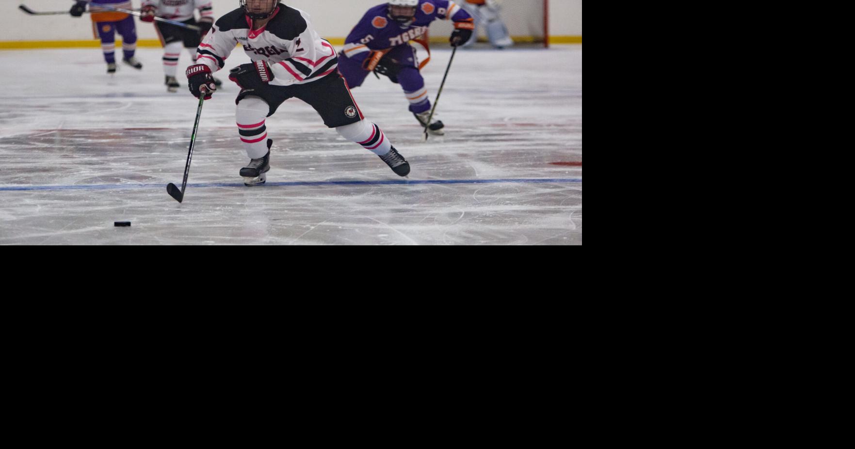 Ice Dawgs drop first game in Auburn series 4-3 | Georgia Sports ...