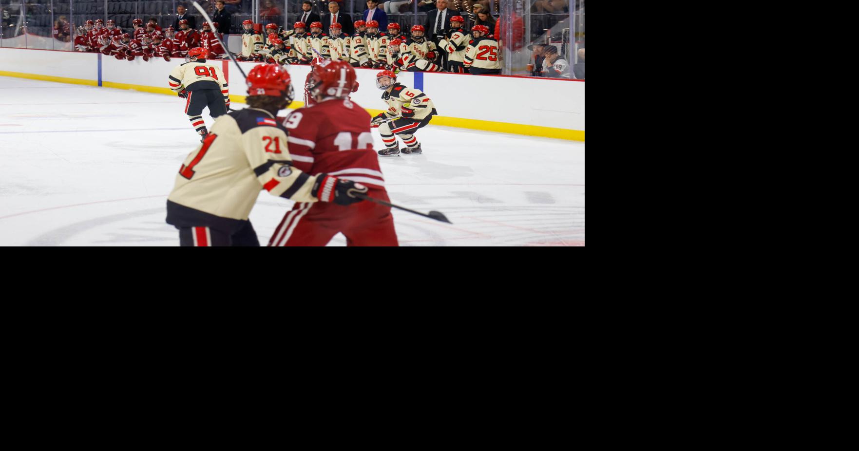Ice Dawgs fall to Alabama 4-3 in overtime, split series | Georgia ...