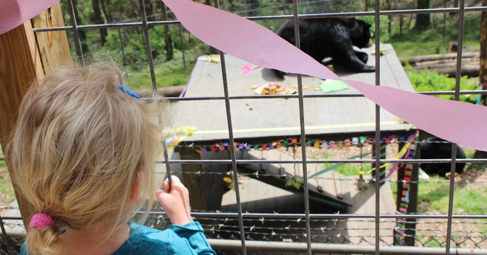 National Wildlife Day: 4 places to spot wildlife and enjoy nature in ...