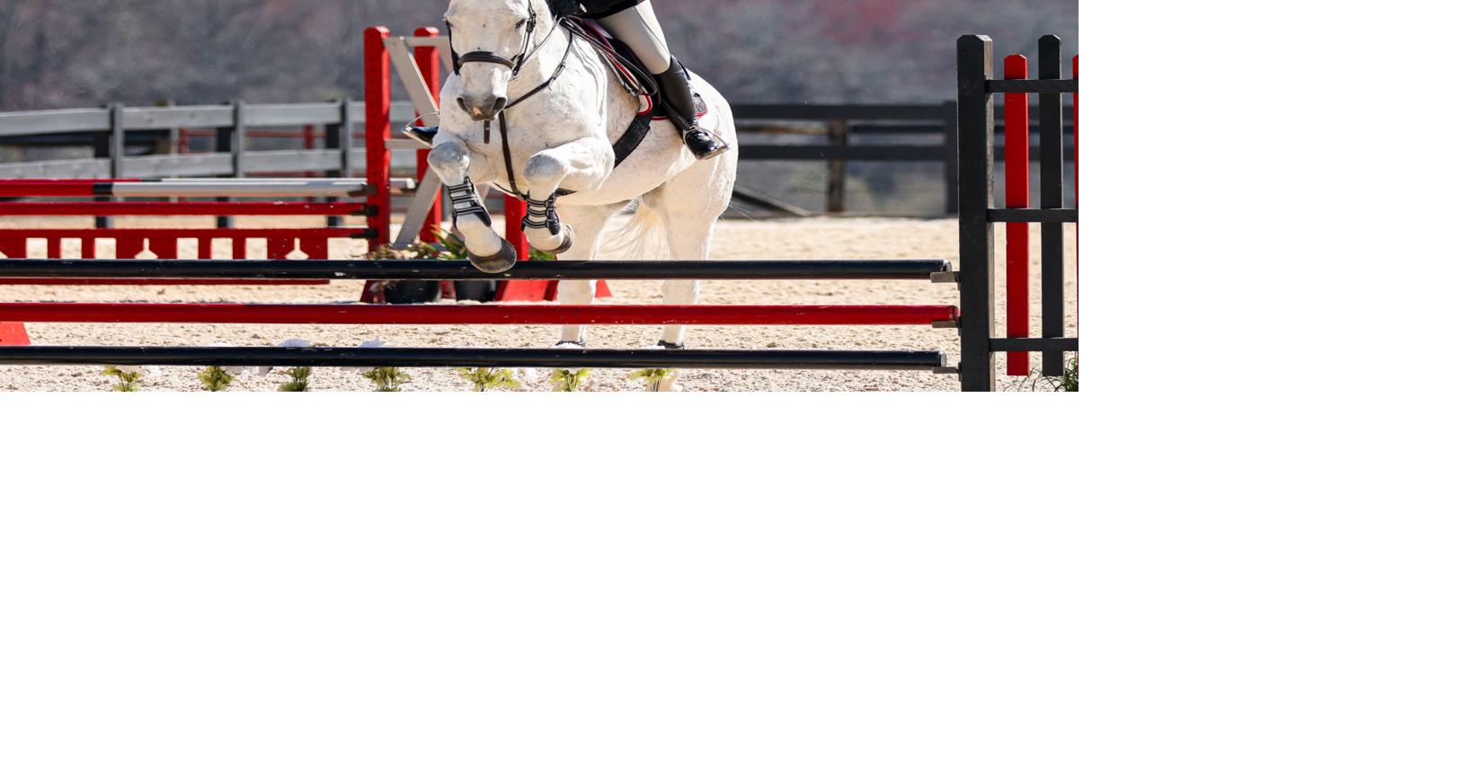 Georgia Equestrian Wins Eighth NCEA National Title in Ocala, FL ...