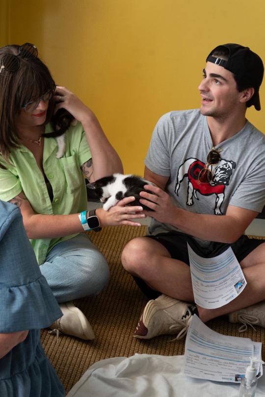 PHOTOS: Athens Area Humane Society’s ninth annual “Kitten Shower ...