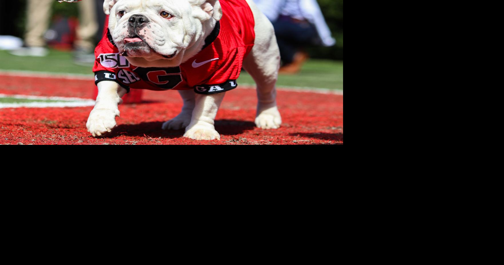 PHOTOS: UGA vs. South Carolina, first half | Multimedia | redandblack.com