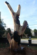 A chainsaw artist transformed an Athens pecan tree into a work of art ...