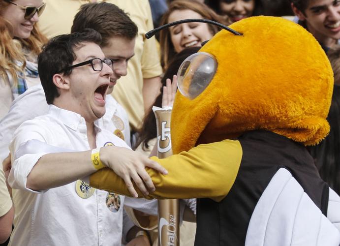 PHOTOS: Georgia vs. Georgia Tech | First Half | Multimedia ...