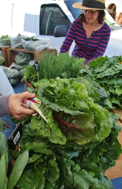 Athens Farmers Market Downtown Opening Day | Photo Galleries ...