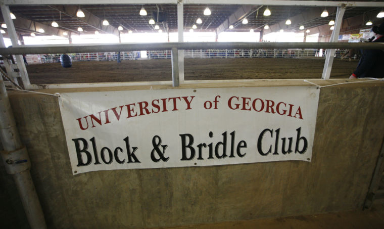 UGA Block and Bridle Hosts Rodeo for Local Elementary Schools | Photo ...
