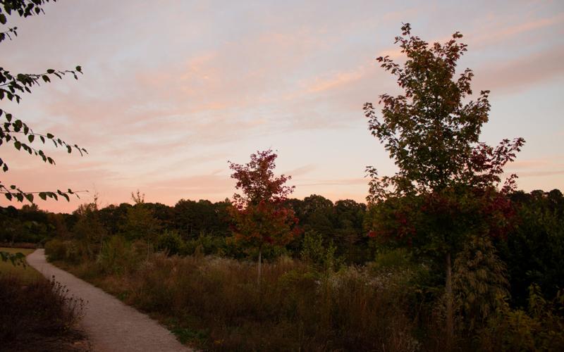 PHOTOS: Fall in Athens | Multimedia | redandblack.com